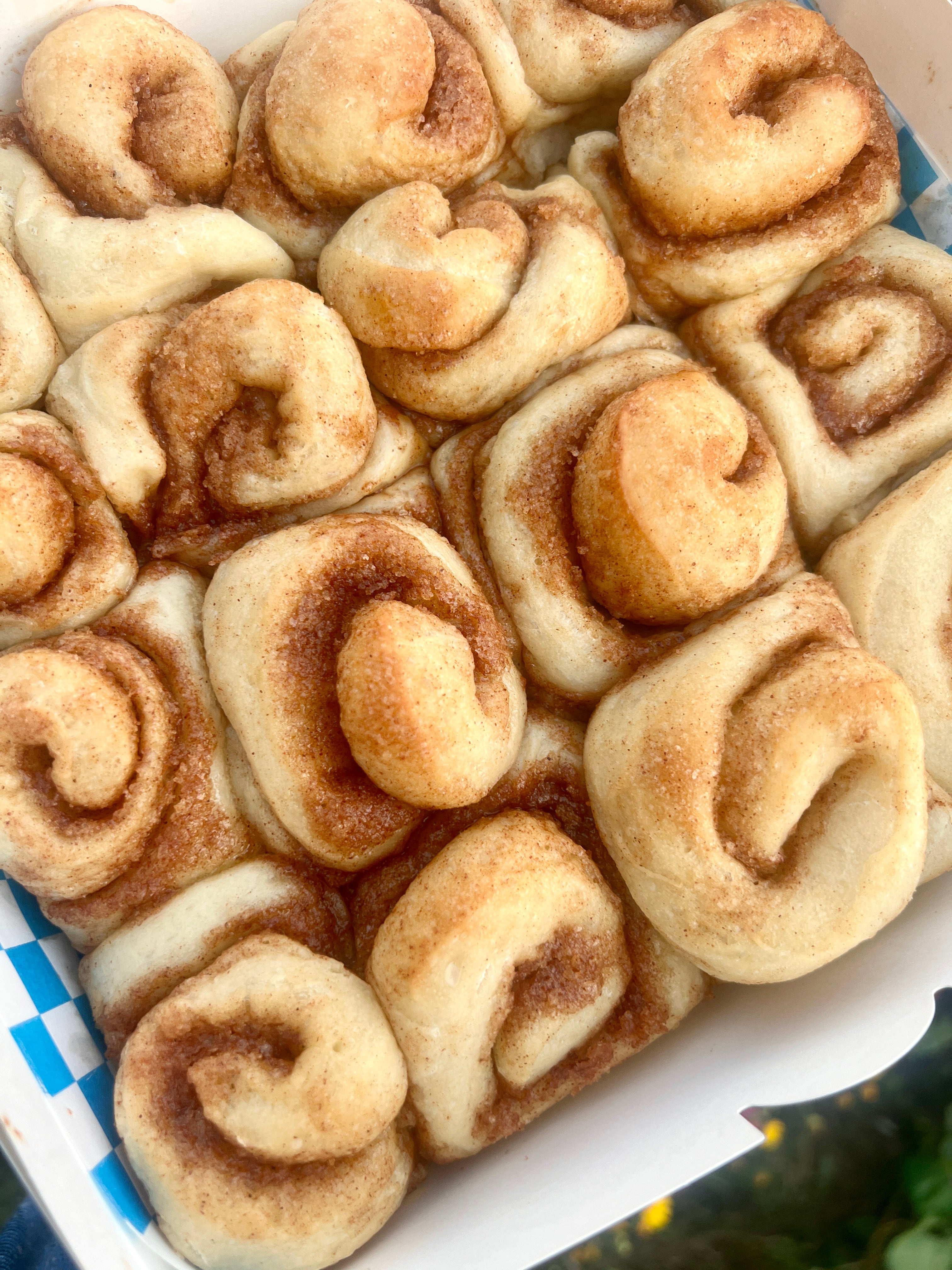 Cinnamon Rolls – Baked Revolution