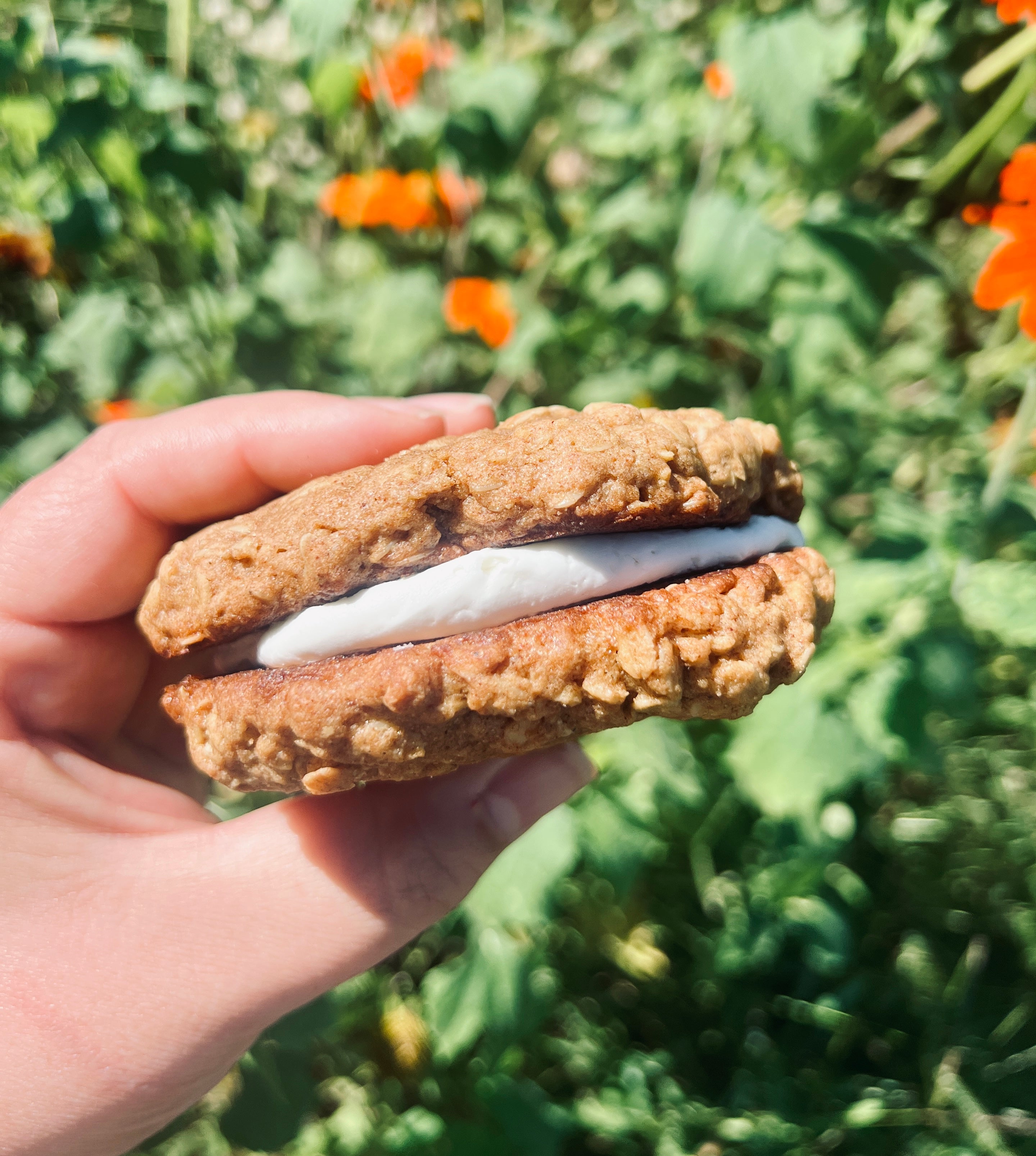 Oatmeal Crème Pie – Baked Revolution